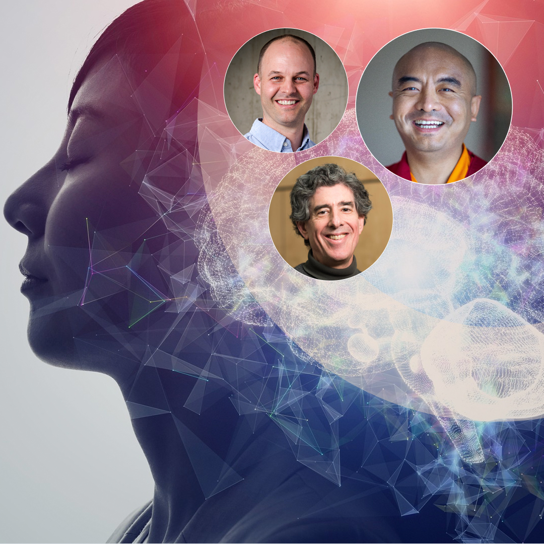 L’épidémie de la distraction : libérer le pouvoir de la conscience avec ...